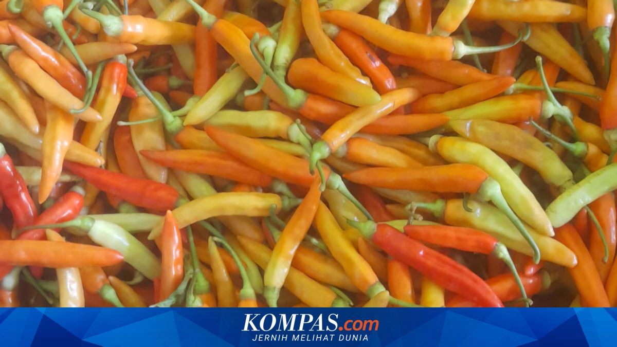 Kenapa Harus Tabur Garam Sebelum Goreng Cabai? Ini Penjelasannya!