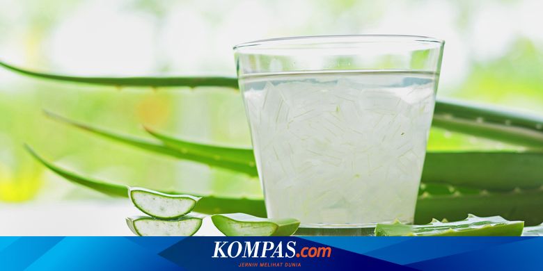 7 Tanaman Obat yang Cocok Ditanam di Rumah dan Manfaatnya