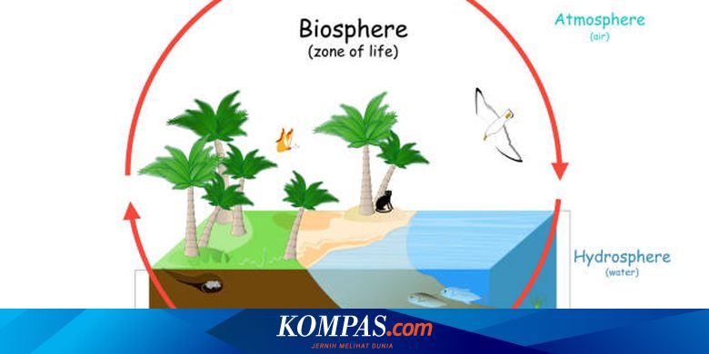 Pengertian Biosfer, serta Asal-usul dan Fungsinya