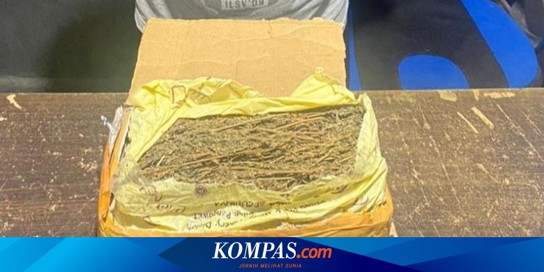 Residivis Narkoba di Ternate Ditangkap Saat Ambil Paket Ganja