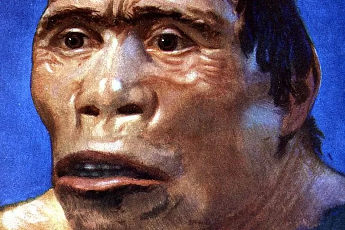 Kisah "Manusia Jawa" yang Belum Dikembalikan Belanda ke Indonesia