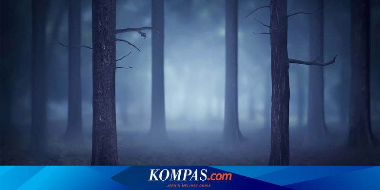 17 Agustus 2022 Bksda Tutup Jalur Pendakian Gunung Di Sumbar