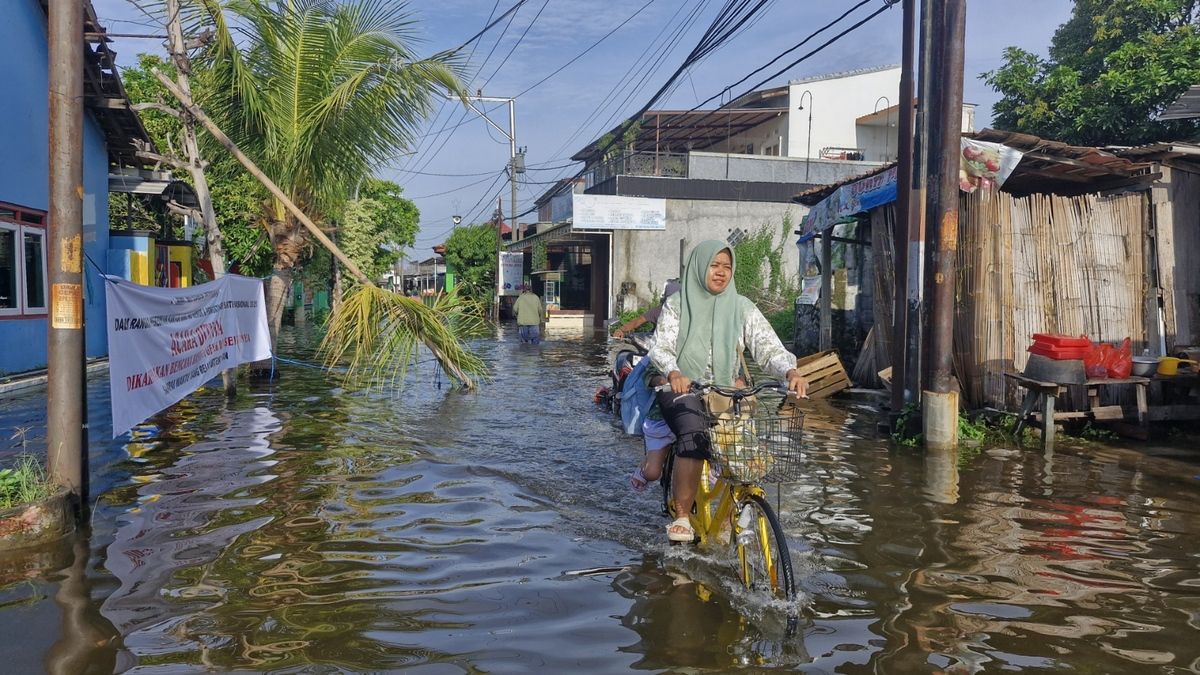 Banjir Tak Sekadar Genangan Air, Ini Deretan Dampak Nyata bagi ...