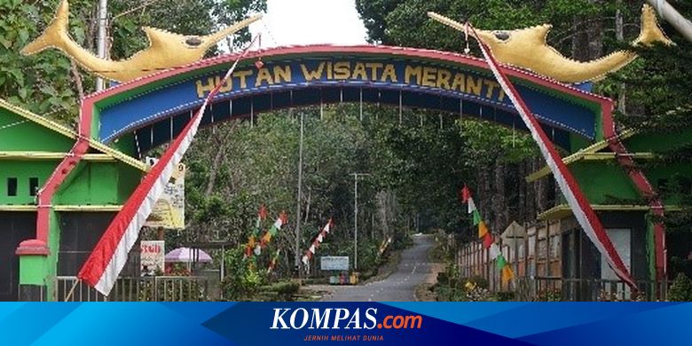 Hutan Meranti Putih, Destinasi Wisata di Kotabaru yang Rindang dan Sejuk