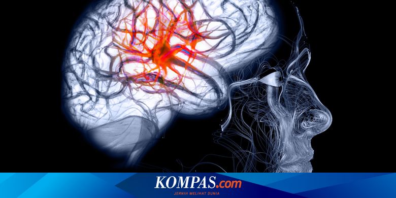 Pecah Pembuluh Darah di Kepala Disebabkan oleh Apa? Ini 4 Daftarnya…
