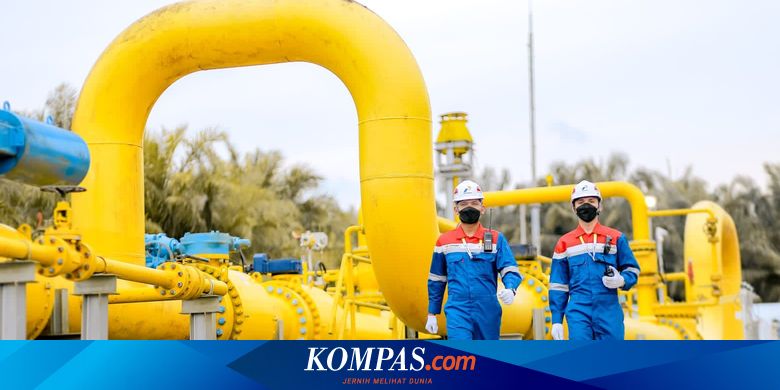 Catat Kinerja Positif Semester I-2022, PGN Bakal Fokus Utilisasi Gas ...