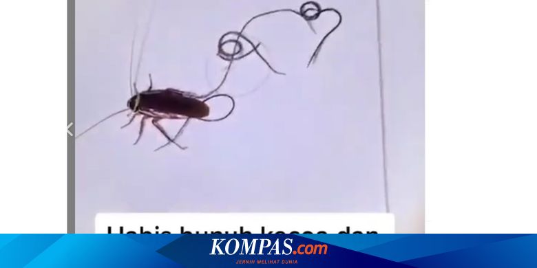 Berita Harian Cacing-rambut-kuda Terbaru Hari Ini - Kompas.com