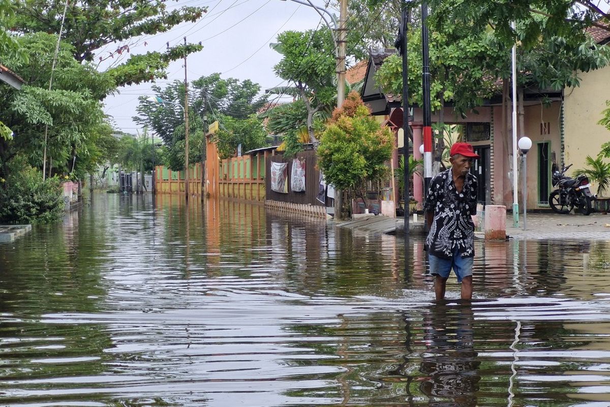 Bencana Banjir dan Update Bantuan Benih di Jateng 2025