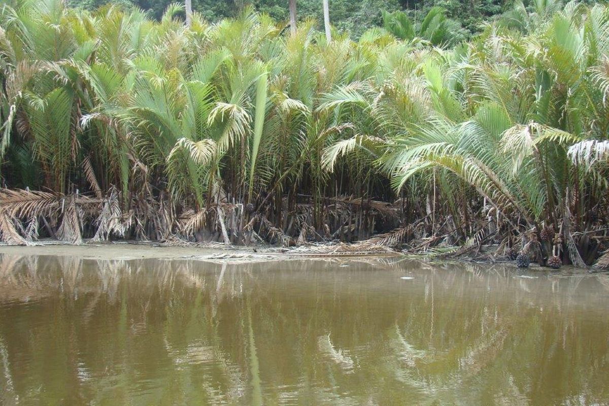 Buyuk: Mitos dan Faktanya