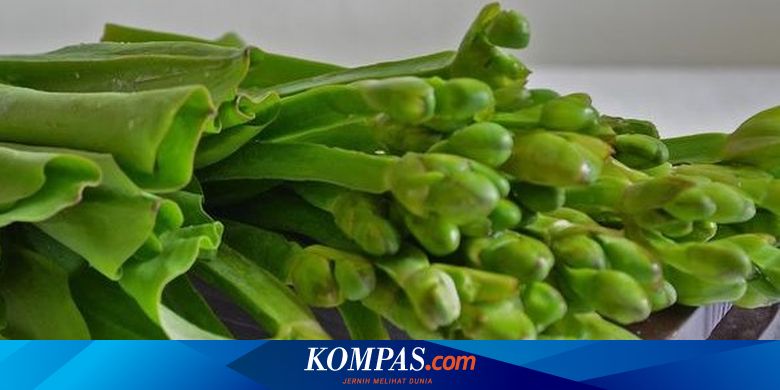 Sejarah Panjang Sayur Genjer, Makanan Wong Cilik Saat Krisis Pangan