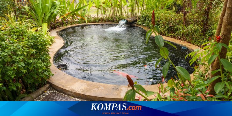 Manfaat Membangun Kolam Ikan di Taman Depan Rumah