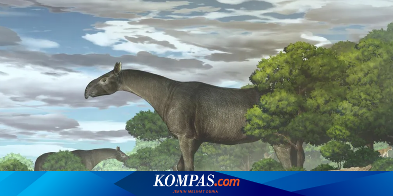 Seperti Apa Mamalia Darat Terbesar yang Pernah Hidup di Bumi?
