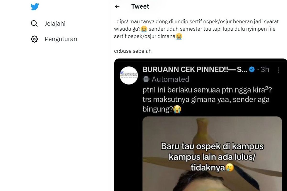 Benarkah Sertifikat Ospek Undip Digunakan sebagai Syarat Wisuda?