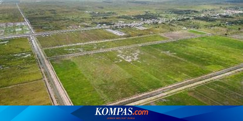 Kembangkan Food Estate Dan Kspp Kementan Usulkan Anggaran Rp 2 56 Triliun