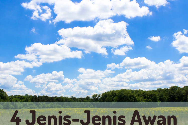 Foto : Jenis-Jenis Awan