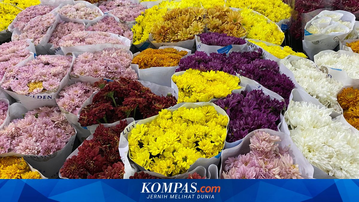 Berbelanja Bunga Murah di Pasar Bunga Rawa Belong, Cuma Rp30 Ribu