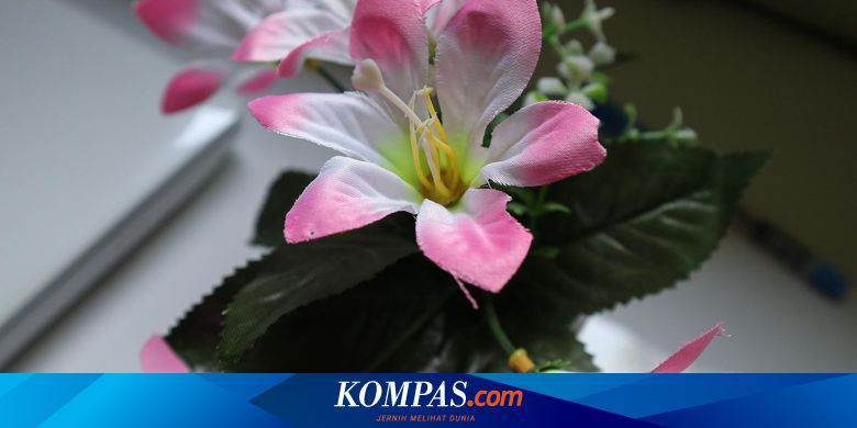 Cara Merawat Bunga Artifisial agar Awet