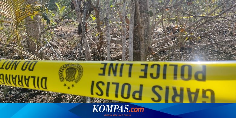 Kebakaran Lahan di Kulon Progo Kembali Berulang, BPBD: Akibat Bakar Sampah dan Membuka Ladang