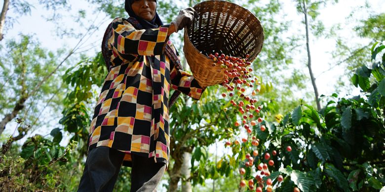 4 Ide Bisnis Pertanian Modal Kecil Untung Besar