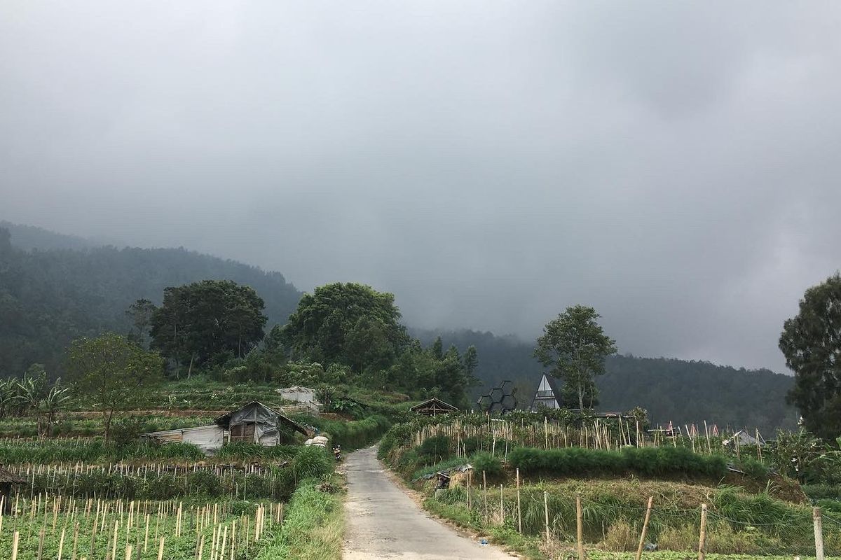 Apa Bedanya Desa, Dusun, Dukuh, dan Kampung?