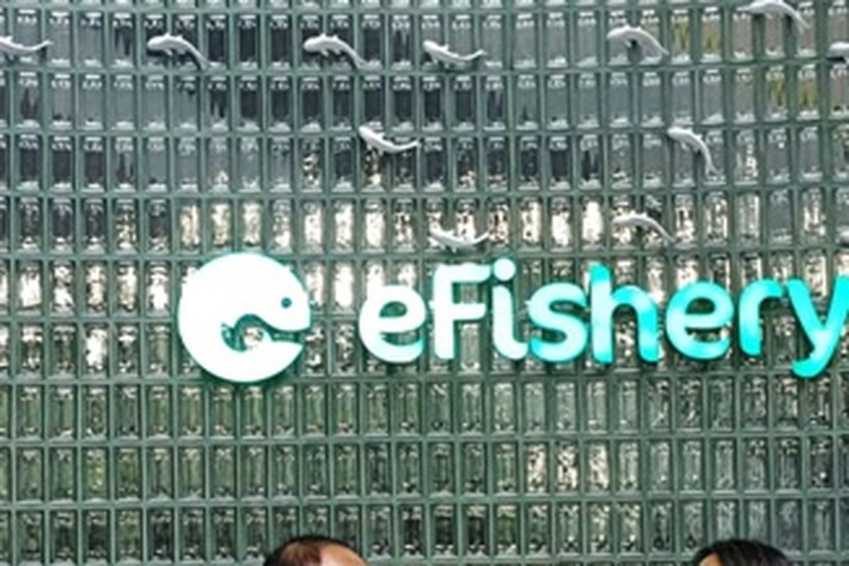 Apa Dampak Kasus "Fraud" eFishery pada Startup Indonesia?