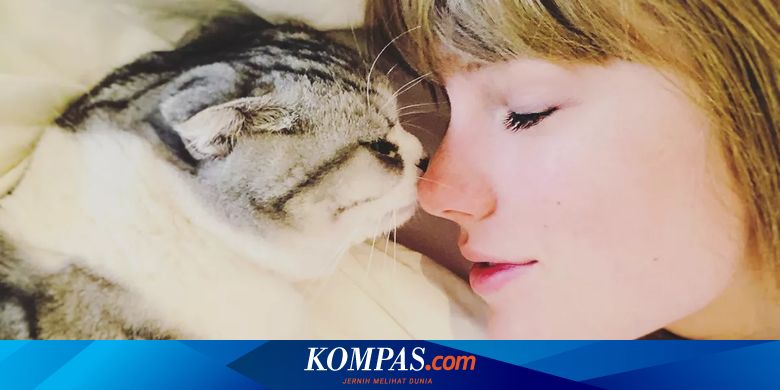 Taylor Swift dan Kisah Tiga Kucingnya; Benjamin Button, Olivia dan Meredith