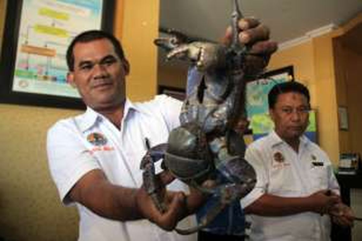 Terlepas dari Ikatan, Ketam Raksasa Capit Seorang Anak