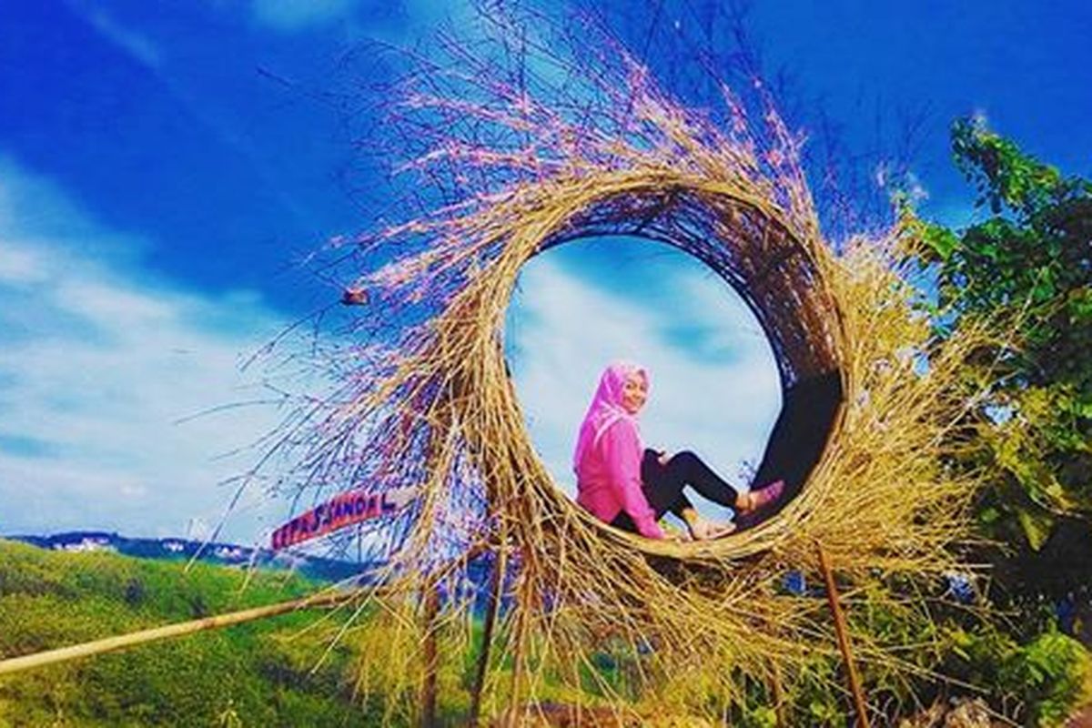 Wisata Agro Jollong di Pati: Daya Tarik, Harga Tiket, dan Jam Buka