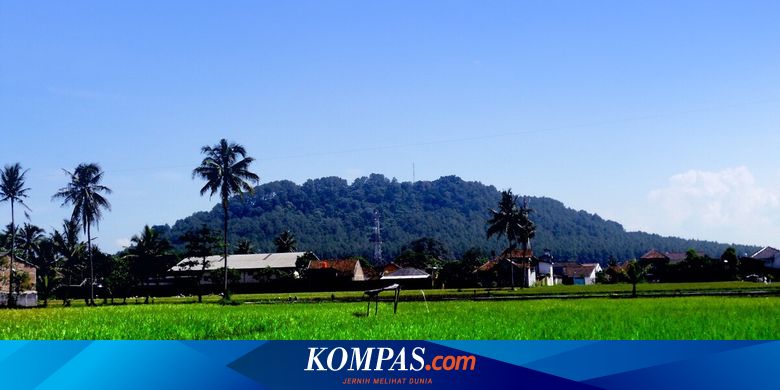 Harga Tiket Masuk dan Jam Buka Kebun Raya Gunung Tidar Magelang