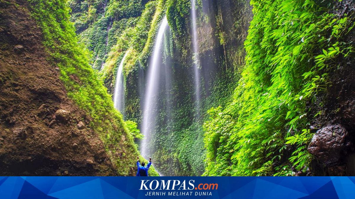 Pesona Air Terjun Madakaripura di Probolinggo, Konon Pertapaan Terakhir ...