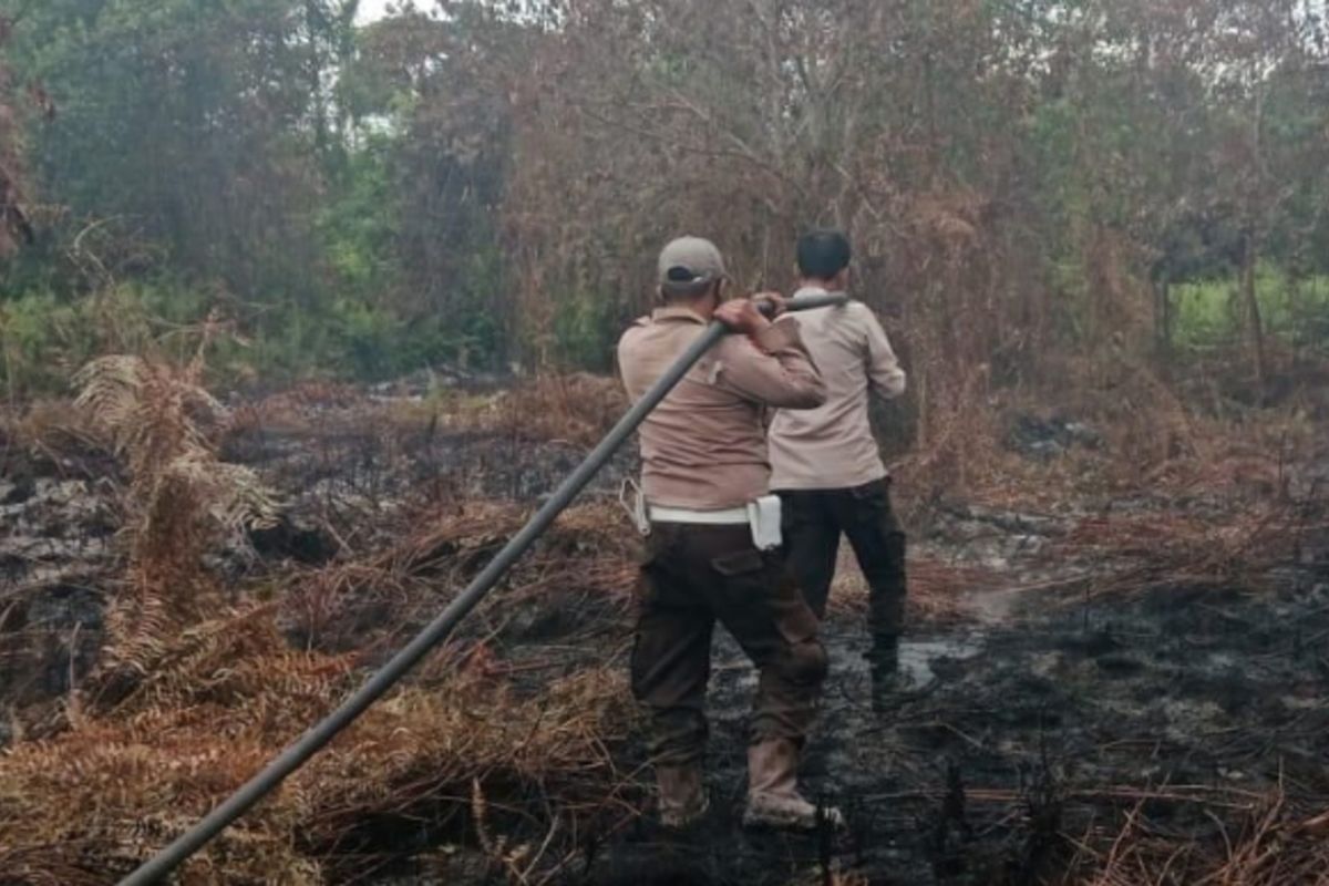 Bakar Lahan untuk Kebun Sawit, Petani di Riau Ditangkap Polisi