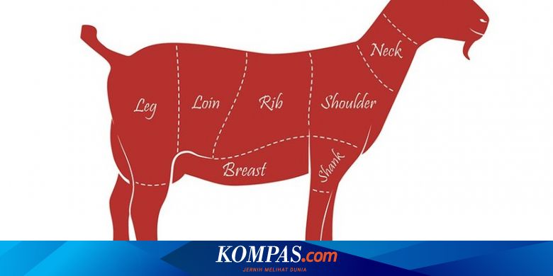 Bagian Tubuh Kambing Mana yang Paling Sehat untuk Dimakan?