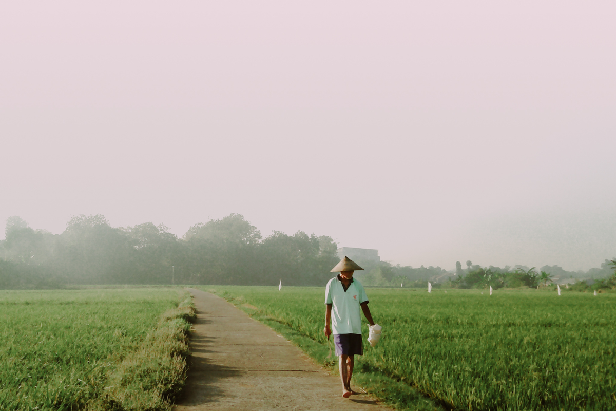 Kenampakan Alam Buatan: Contoh dan Dampaknya