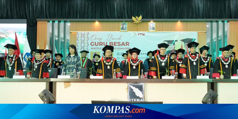 Hadiri Orasi Ilmiah Guru Besar ITERA, Wamen Diana Soroti Pentingnya ...