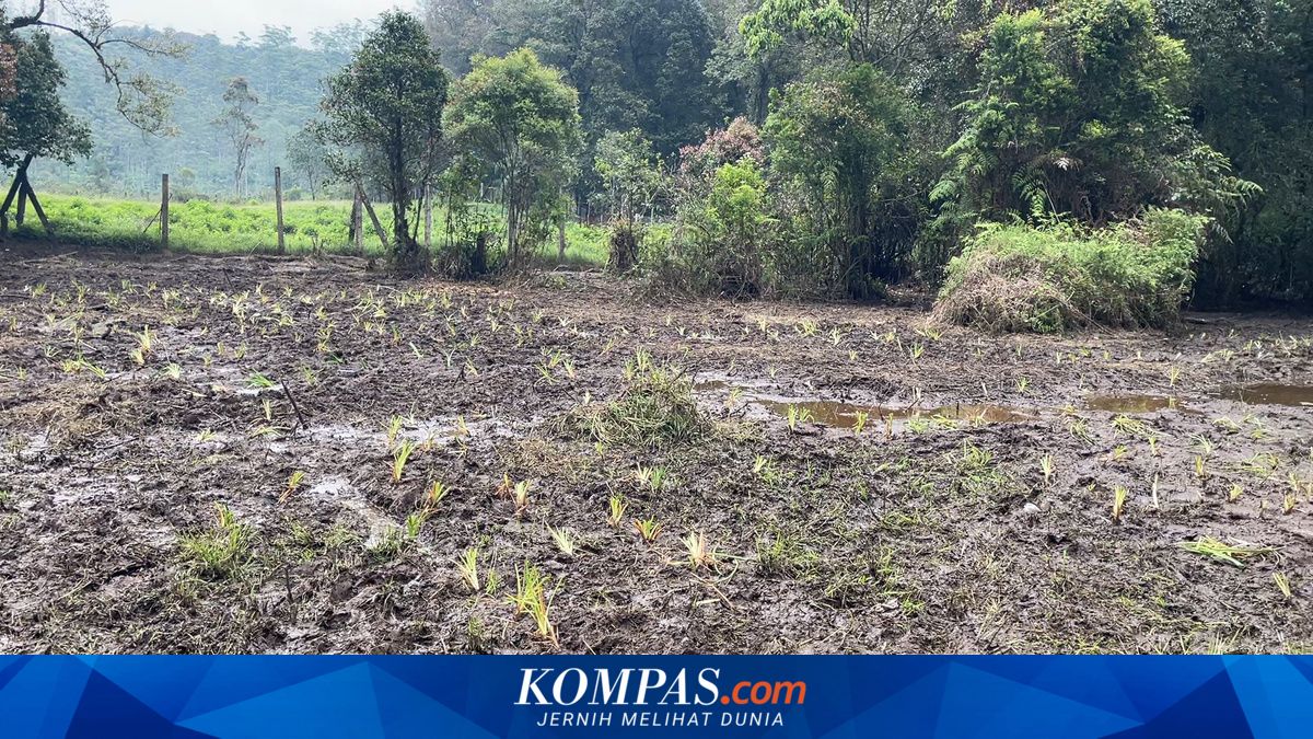 Buntut Kerusakan Ranca Upas, Aktivitas Motor Trail dan "Offroad ...