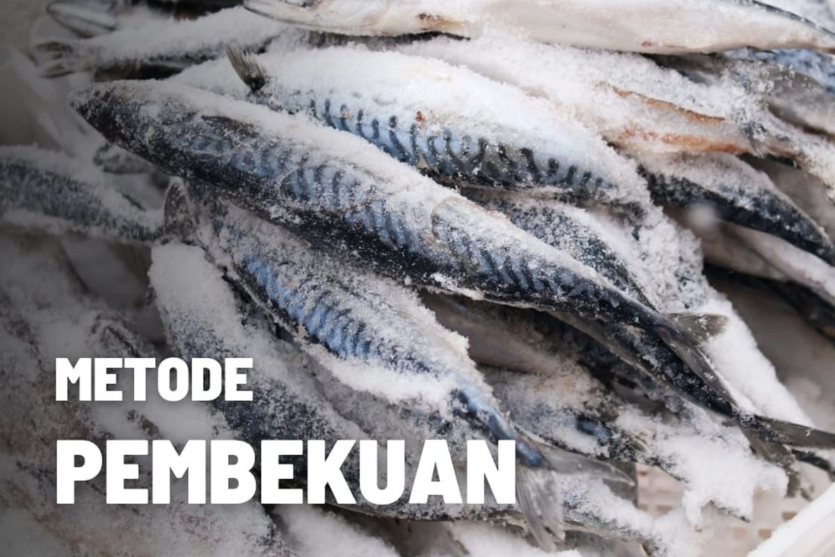 Metode Pembekuan: Pengertian, Kelebihan dan Kekurangannya