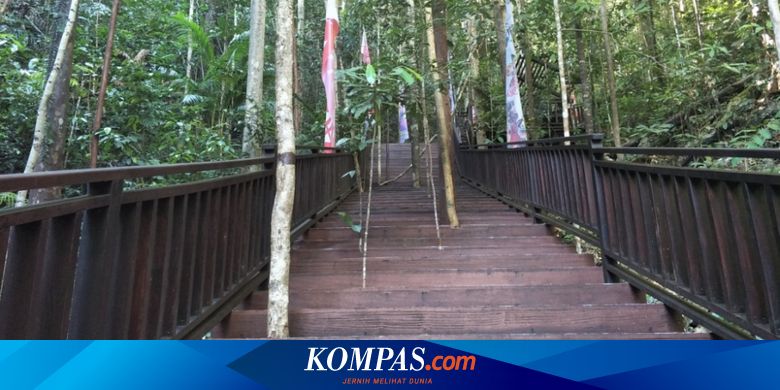 Mendaki Puncak Piaynemo Lewat Jalur Baru, Apa Rasanya?
