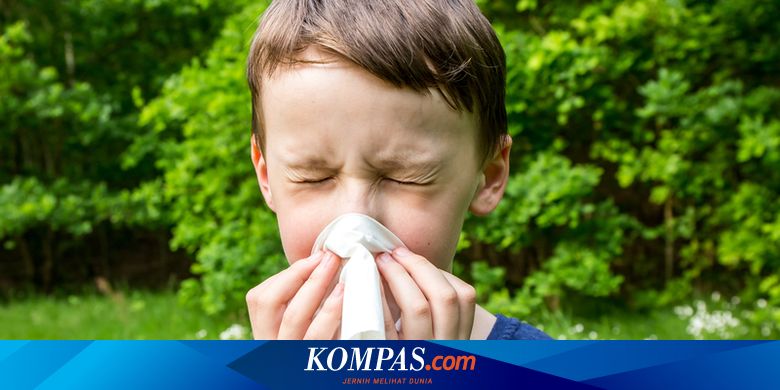 Apa Gejala Rhinitis Alergi pada Anak? Berikut Penjelasan Dokter...