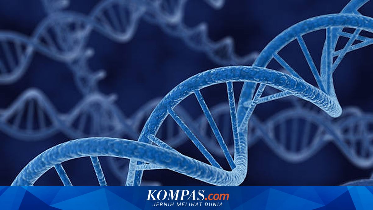 Berapa Biaya Tes DNA di Indonesia? Begini Prosedur dan Manfaatnya