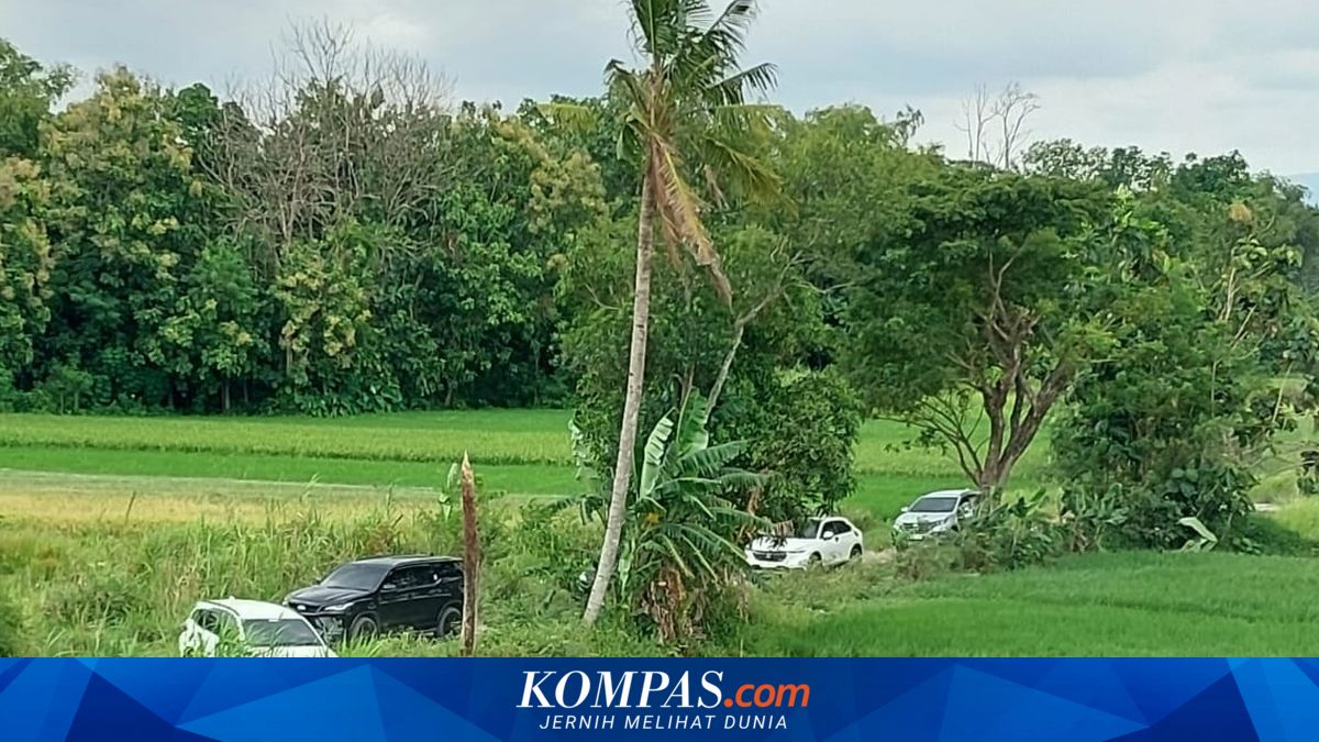 Hendak Masuk Tol, Ratusan Mobil Nyasar ke Sawah Karena Google Maps