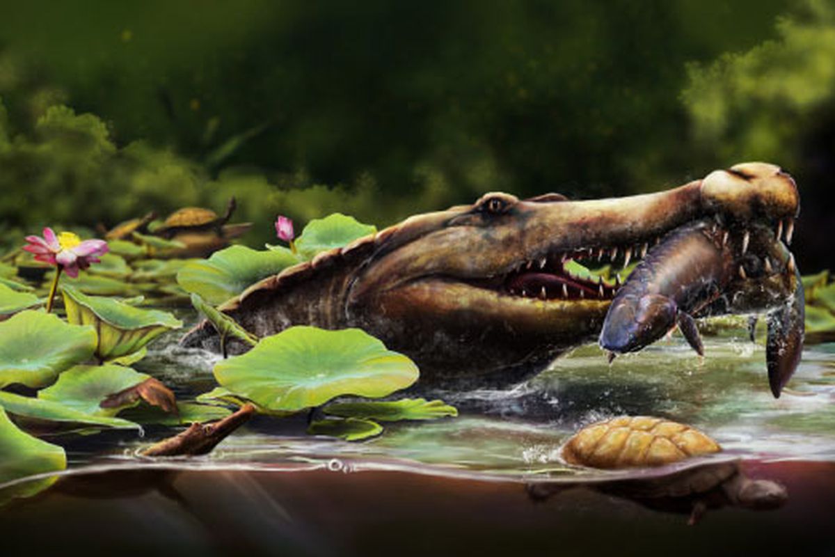 Fosil Buaya Moncong Panjang Berusia 80 Juta Tahun Ditemukan di Mesir