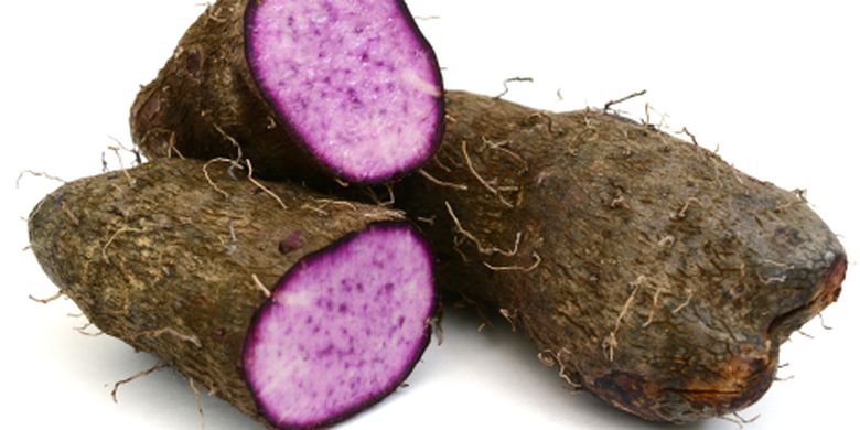 Budidaya Tanaman Uwi, Tanaman Pangan yang Mengenyangkan