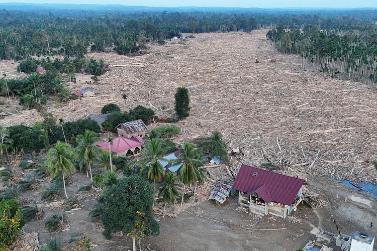 BERITA FOTO: Jejak Kayu Gelondongan yang Terbawa Arus Banjir Sumatera