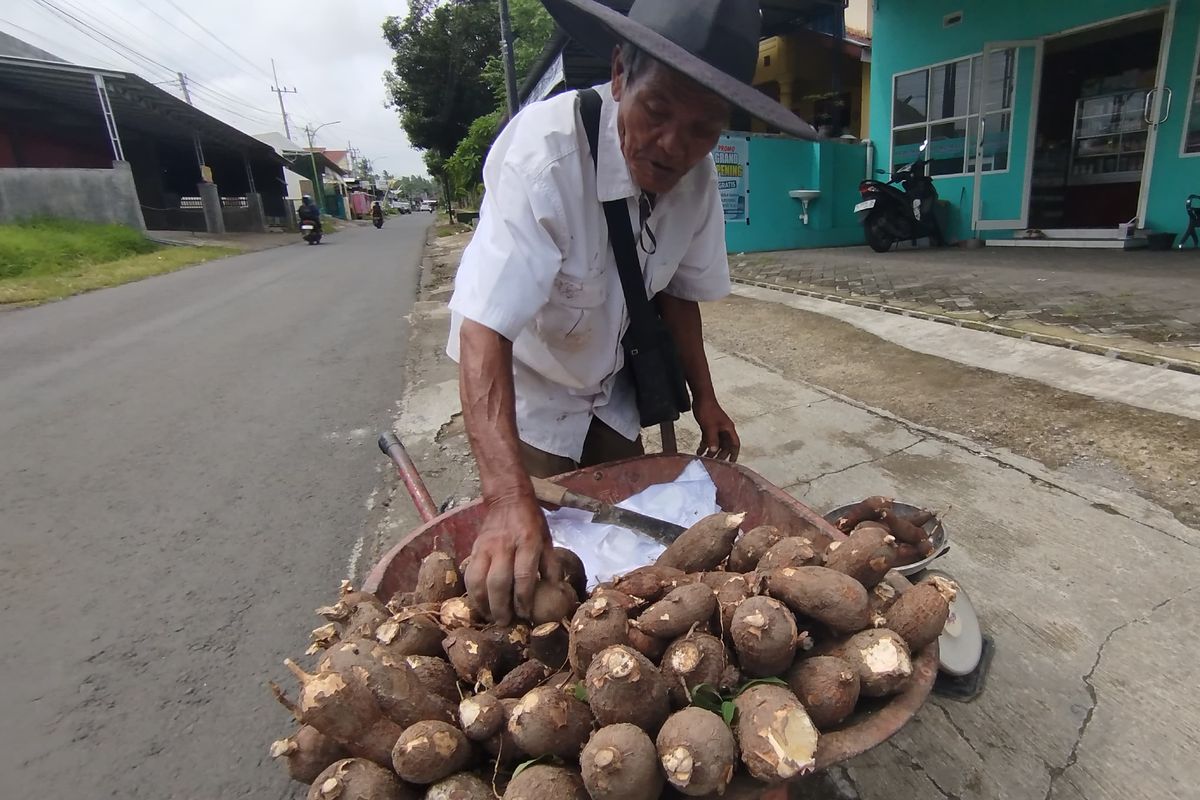 Singkong dan Tapioka Impor Bakal Dikenai Tarif Bea Masuk