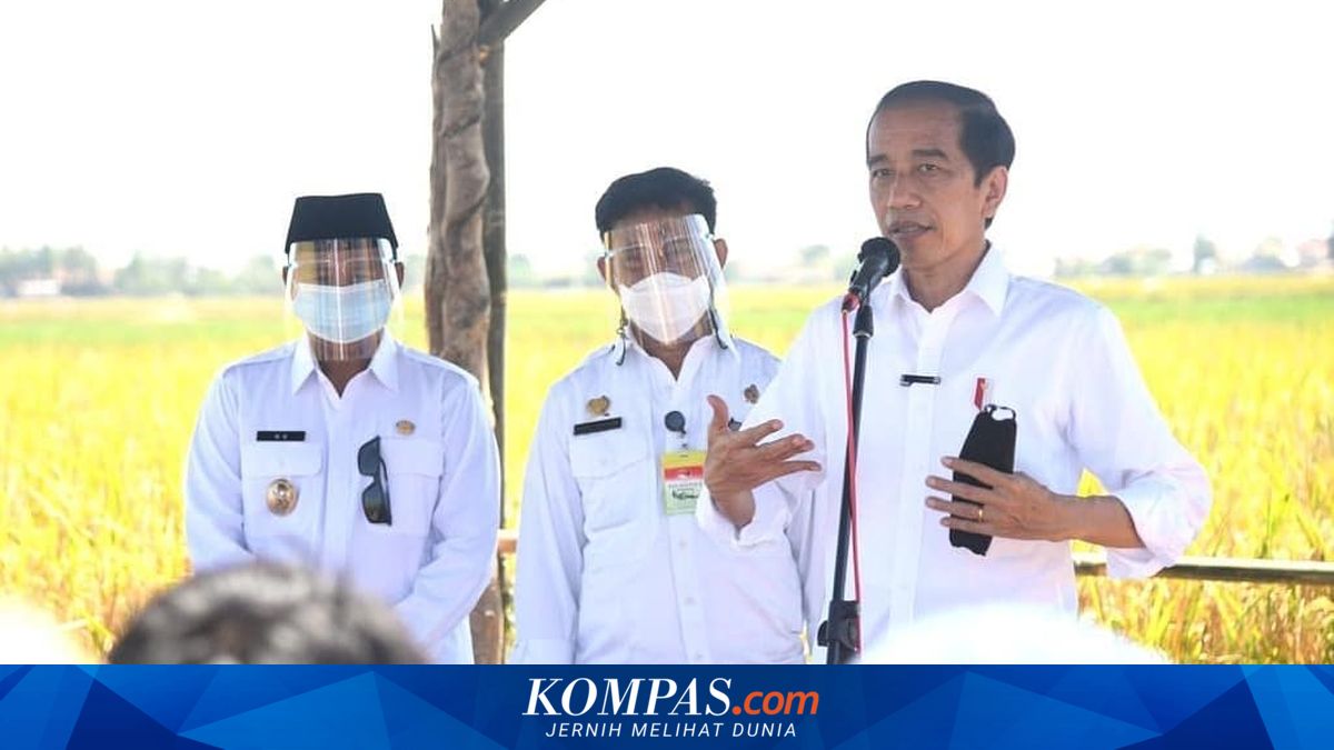 Pengakuan dan Janji Presiden Jokowi soal Kebijakan Impor Beras...