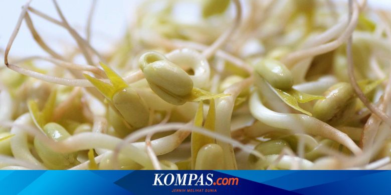 4 Manfaat Tauge untuk Kesehatan yang Penting Diketahui