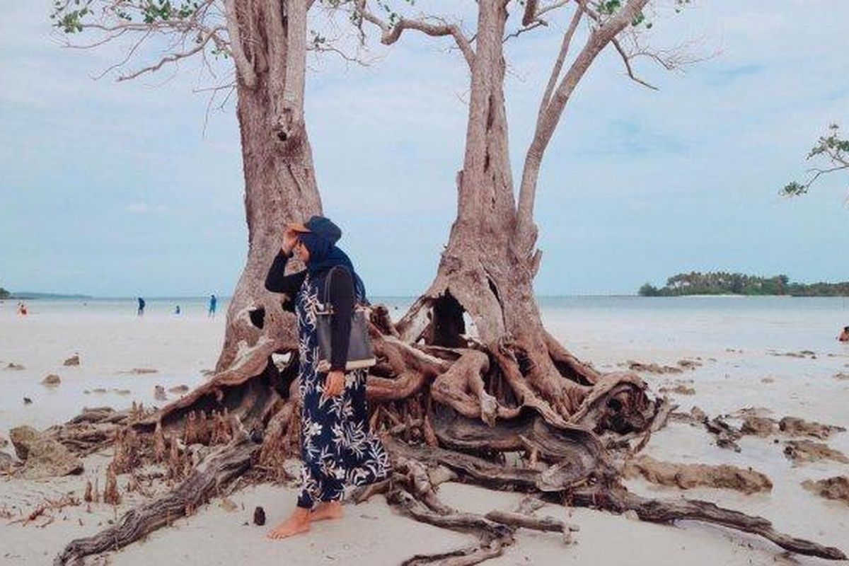 Pantai Elyora di Batam: Daya Tarik, Jam Buka, dan Rute