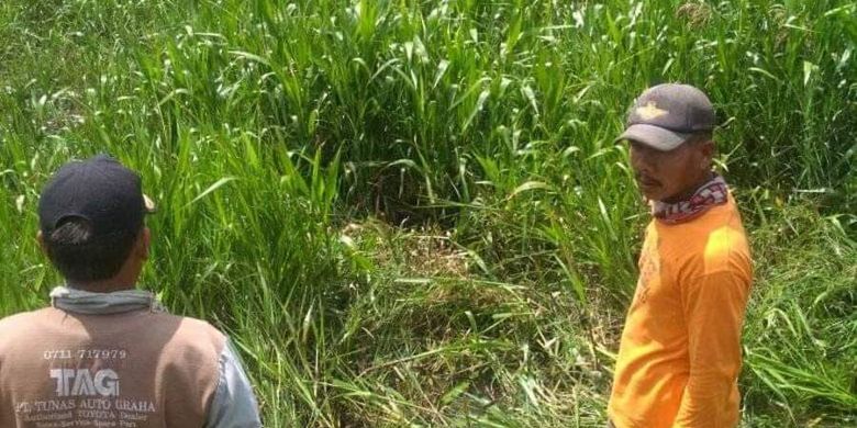 Berita Harian Tubuh-pencari-rumput-hilang-diterkam-buaya Terbaru Hari ...