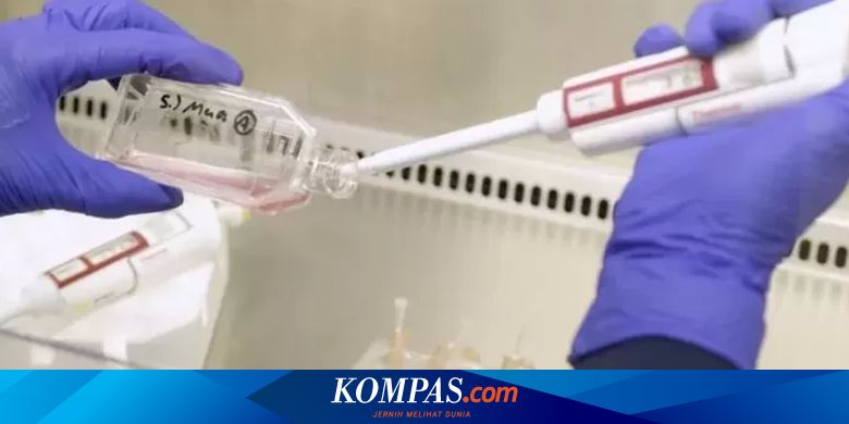Pertama di Dunia, Darah Buatan Lab Diberikan Pada Manusia, Mulai Masuk ...