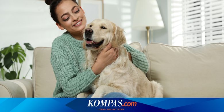 Ragam Alasan Anjing Suka Berpelukan dengan Pemiliknya